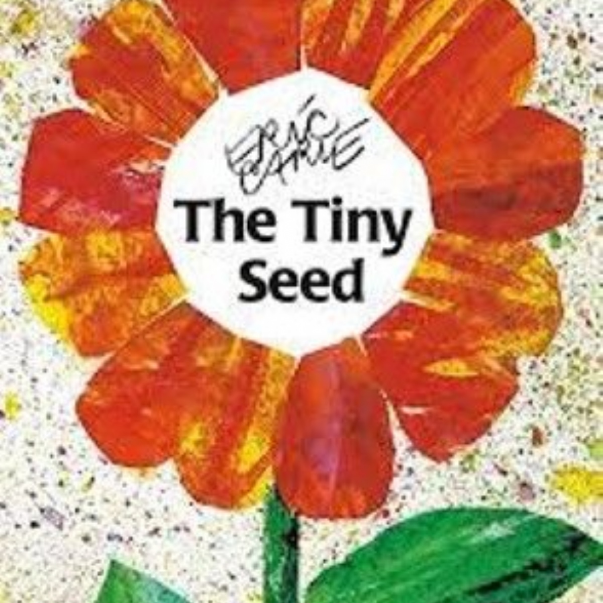 Beckers Green Primary School - The Tiny Seed
